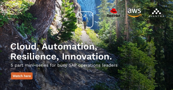 Automated Sap Operations Avantra